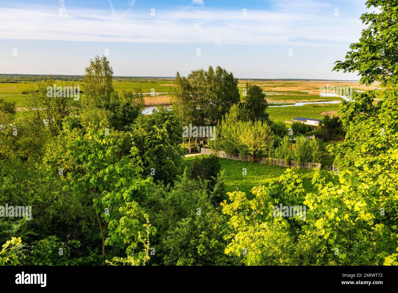 Panoramic view of Biebrza river and Biebrzanski National Park wetlands ...
