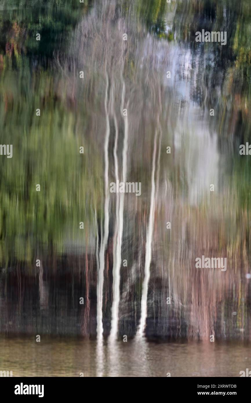 Trees mirrored hi-res stock photography and images - Alamy