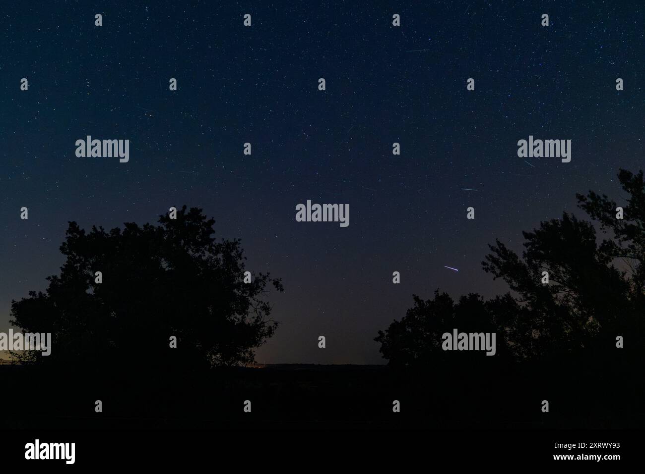 109p swift tuttle comet hi-res stock photography and images - Alamy