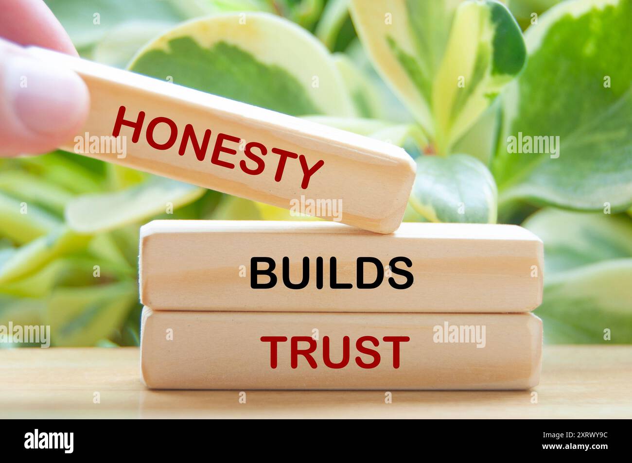 Honesty builds trust text on wooden blocks with nature background ...