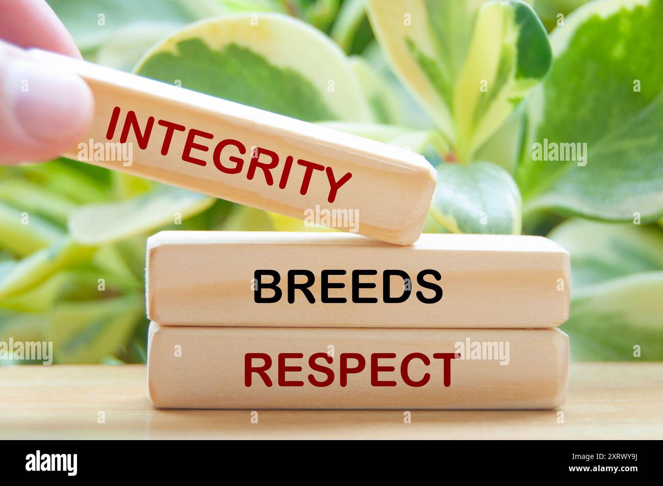 Integrity breeds respect text on wooden blocks with nature background ...