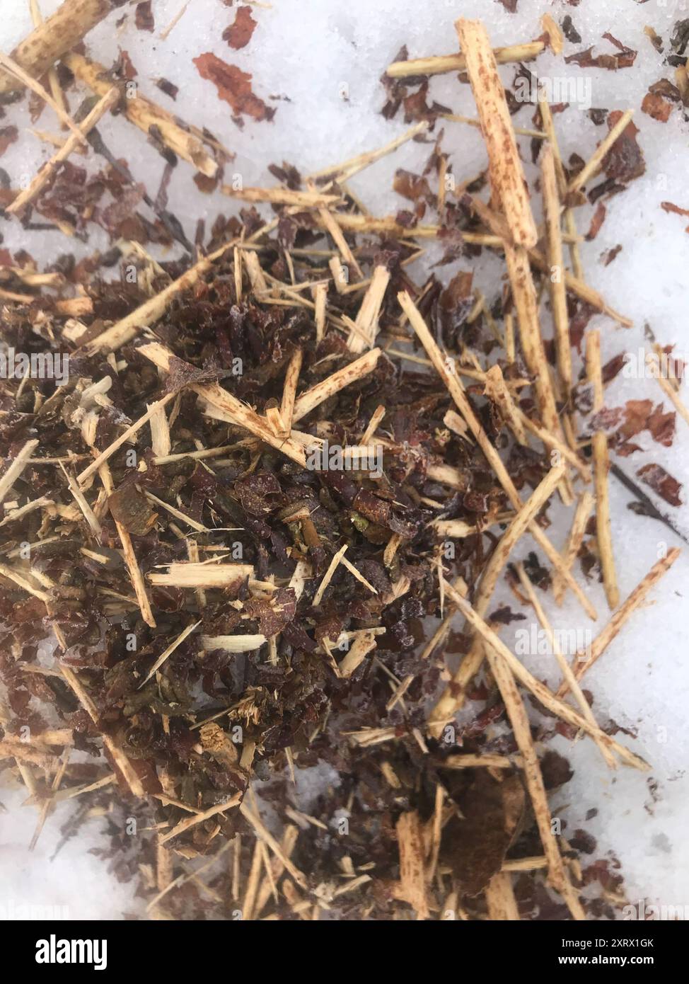 Ungava hi-res stock photography and images - Alamy