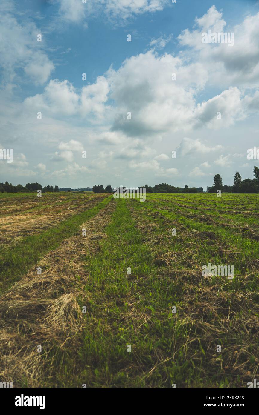 Mown meadow village hi-res stock photography and images - Alamy
