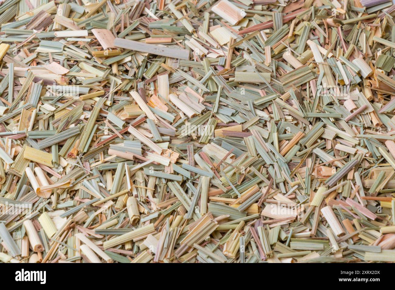Dried lemon grass, close-up. An aromatic herb for dishes and drinks ...