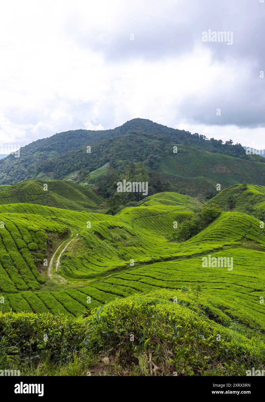 Malaysia 2024 289 hi-res stock photography and images - Alamy