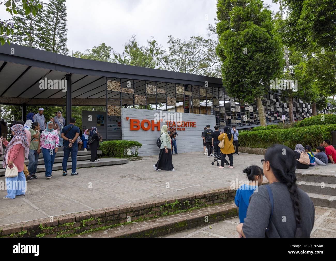 Tourists in Boh tea center, Pahang, Cameron Highlands, Malaysia Stock ...
