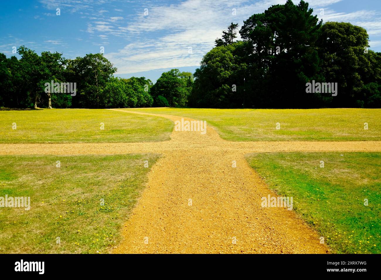 Two paths fork forest hi-res stock photography and images - Alamy