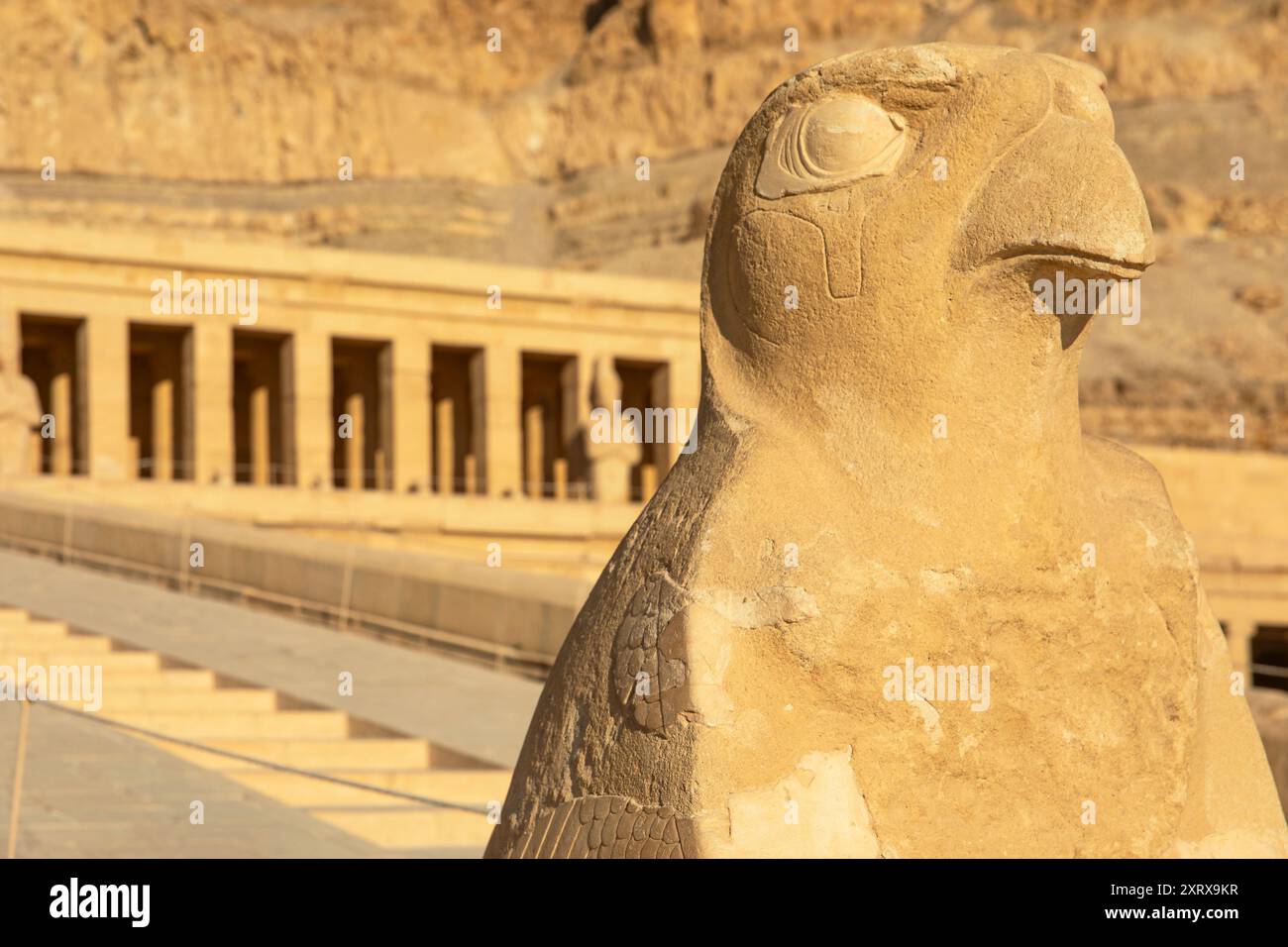 The watchful eye of Horus, represented as a majestic falcon, guards the ...