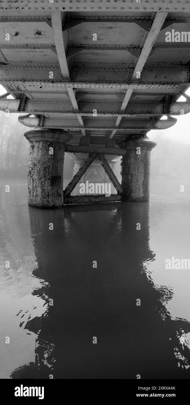 Inverted dog Black and White Stock Photos & Images - Alamy