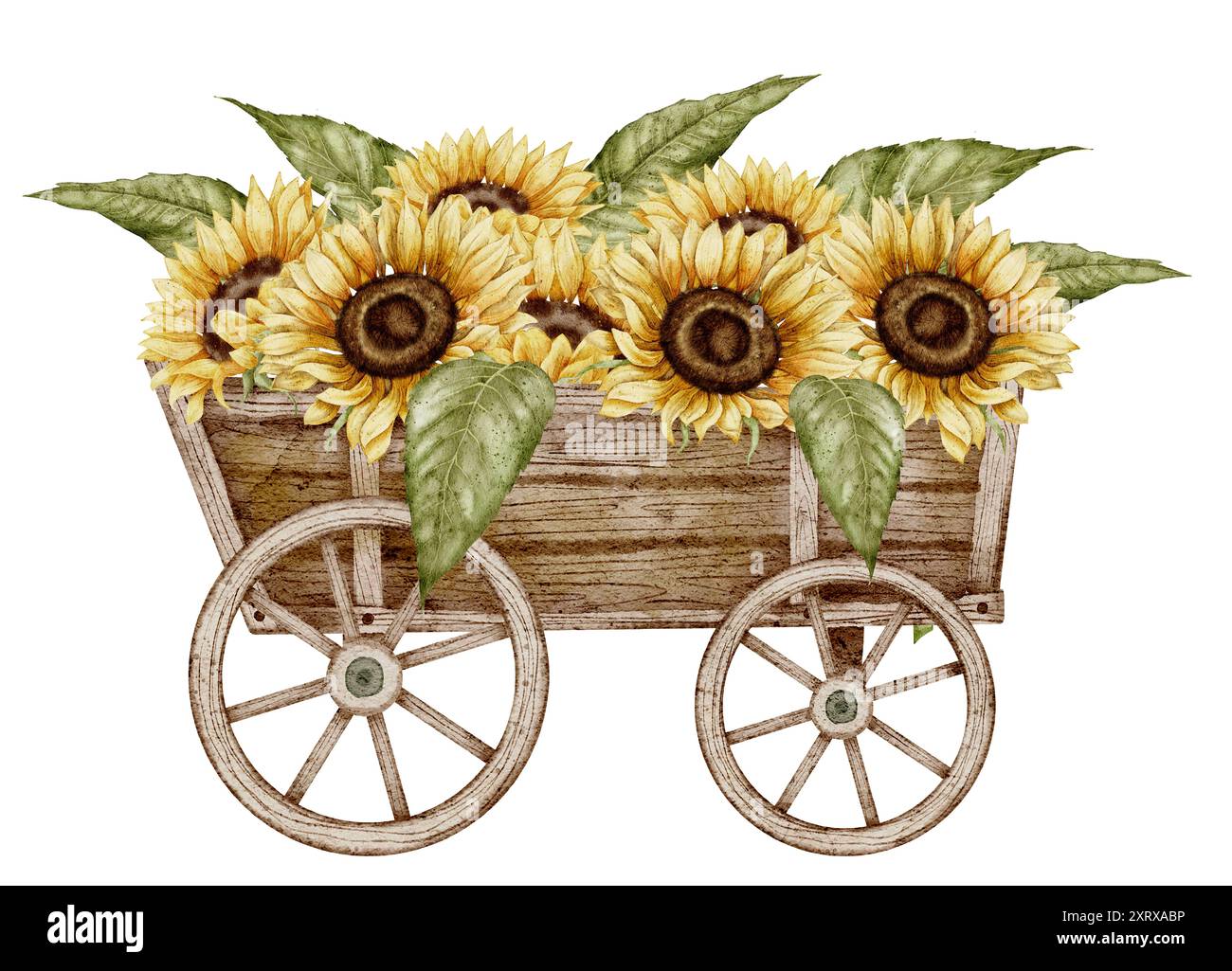 Rustic Wooden Cart with Sunflowers and Green Leaves Watercolor ...