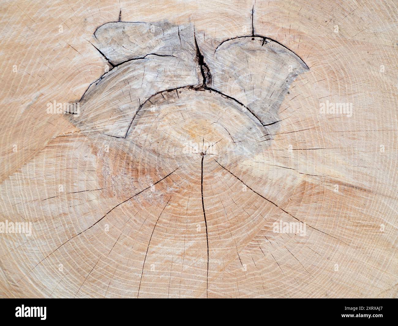 Interesting close up cross hi-res stock photography and images - Alamy