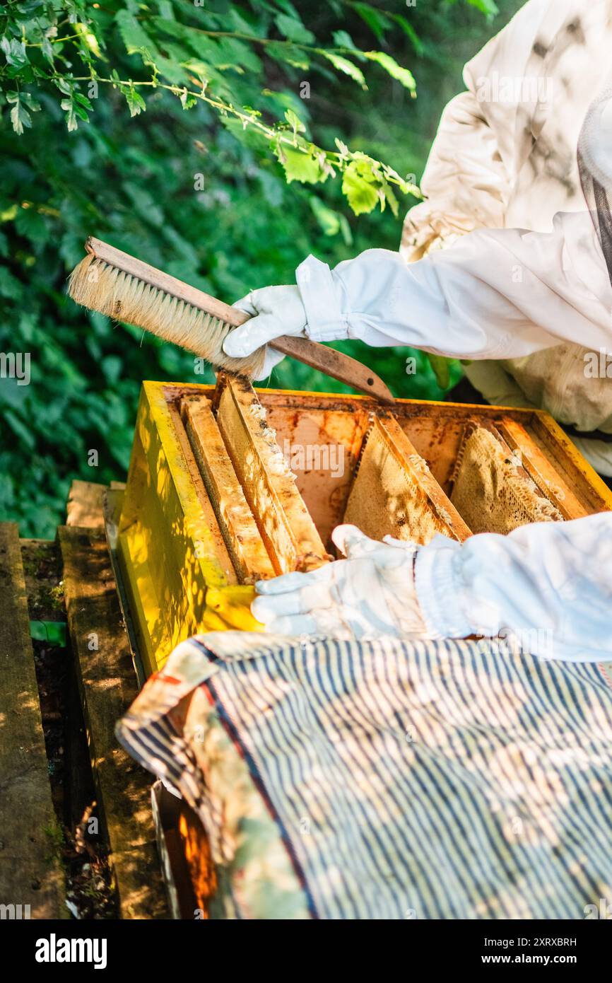 Beekeeper in White Protective Suit Beekeeping the Beehives While ...
