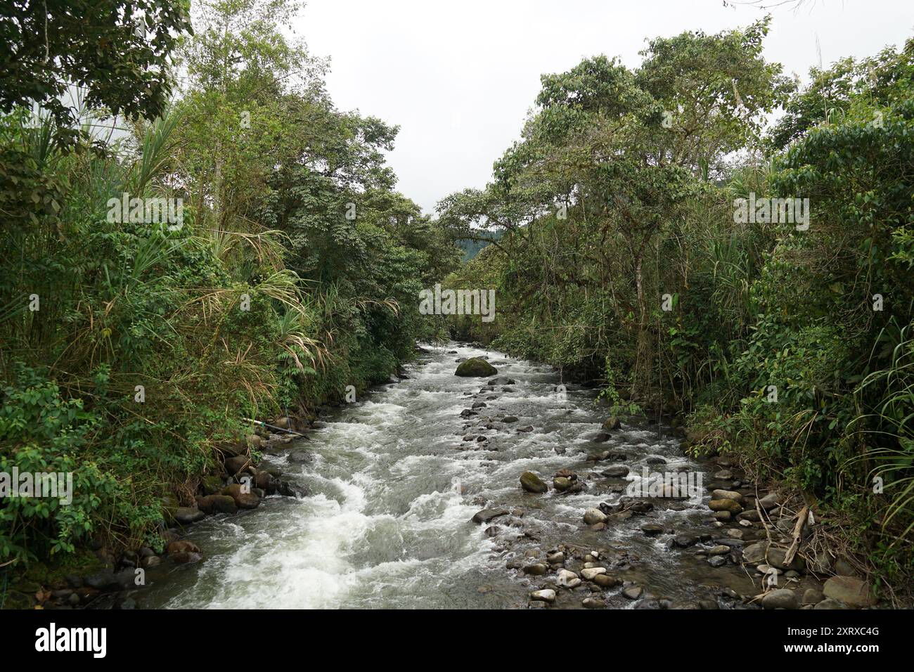 Rio Mindo, Mindo Valley, Ecuador, South America Stock Photo - Alamy
