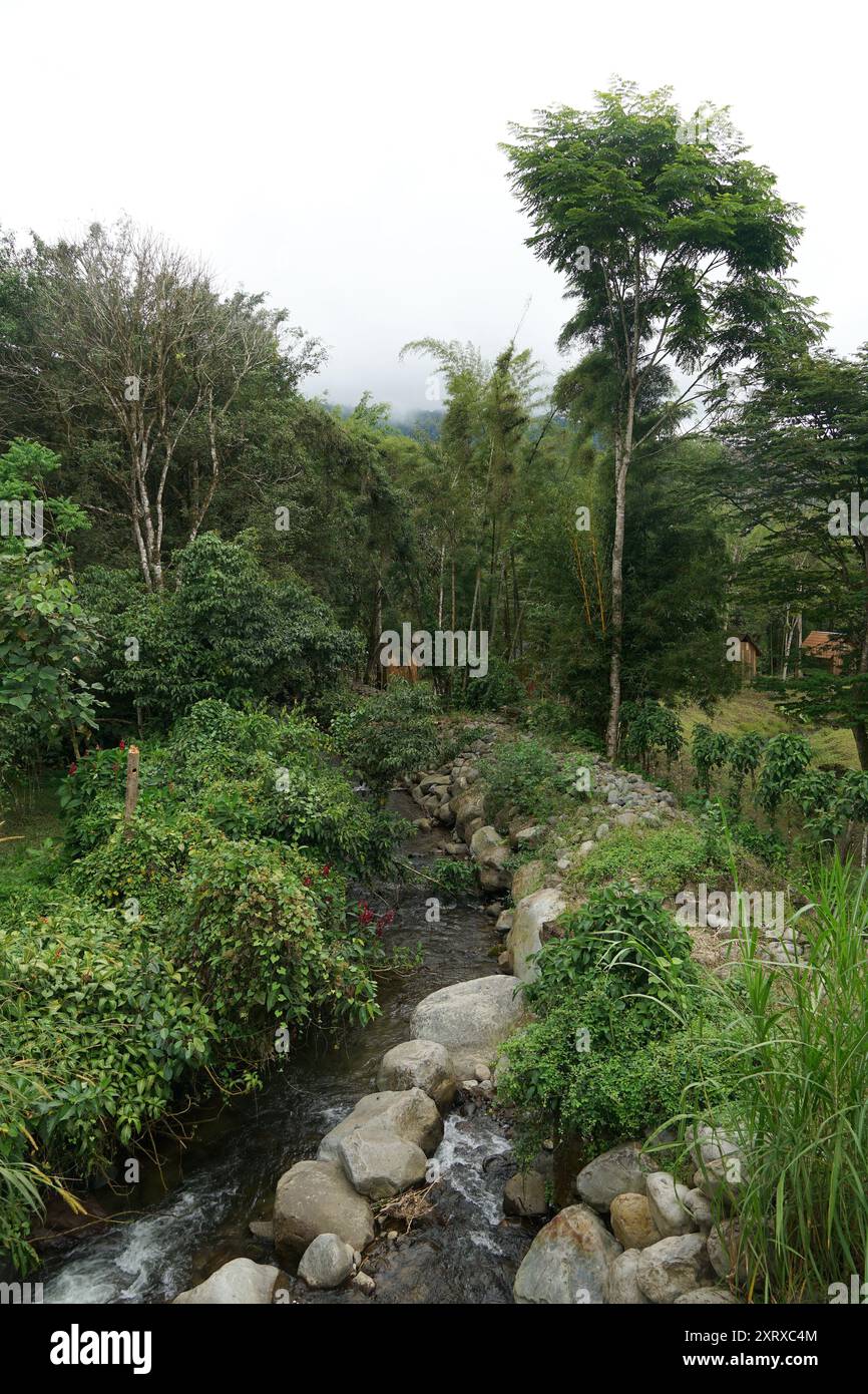 Rio Mindo, Mindo Valley, Ecuador, South America Stock Photo - Alamy