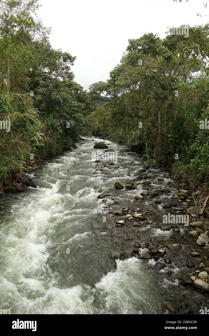 Rio Mindo, Mindo Valley, Ecuador, South America Stock Photo - Alamy