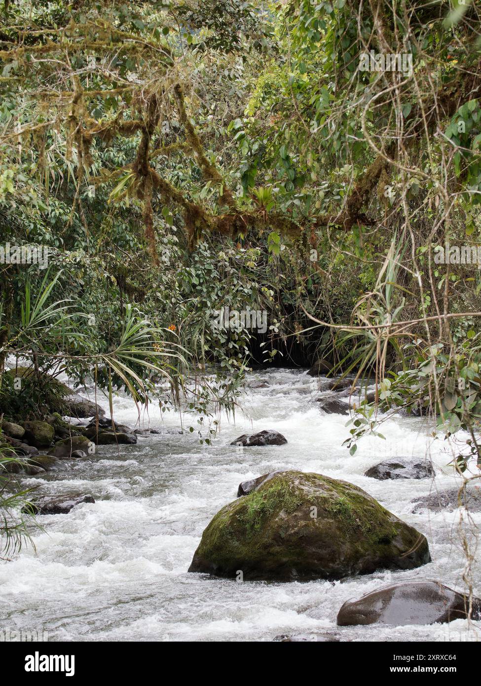 Rio Mindo, Mindo Valley, Ecuador, South America Stock Photo - Alamy