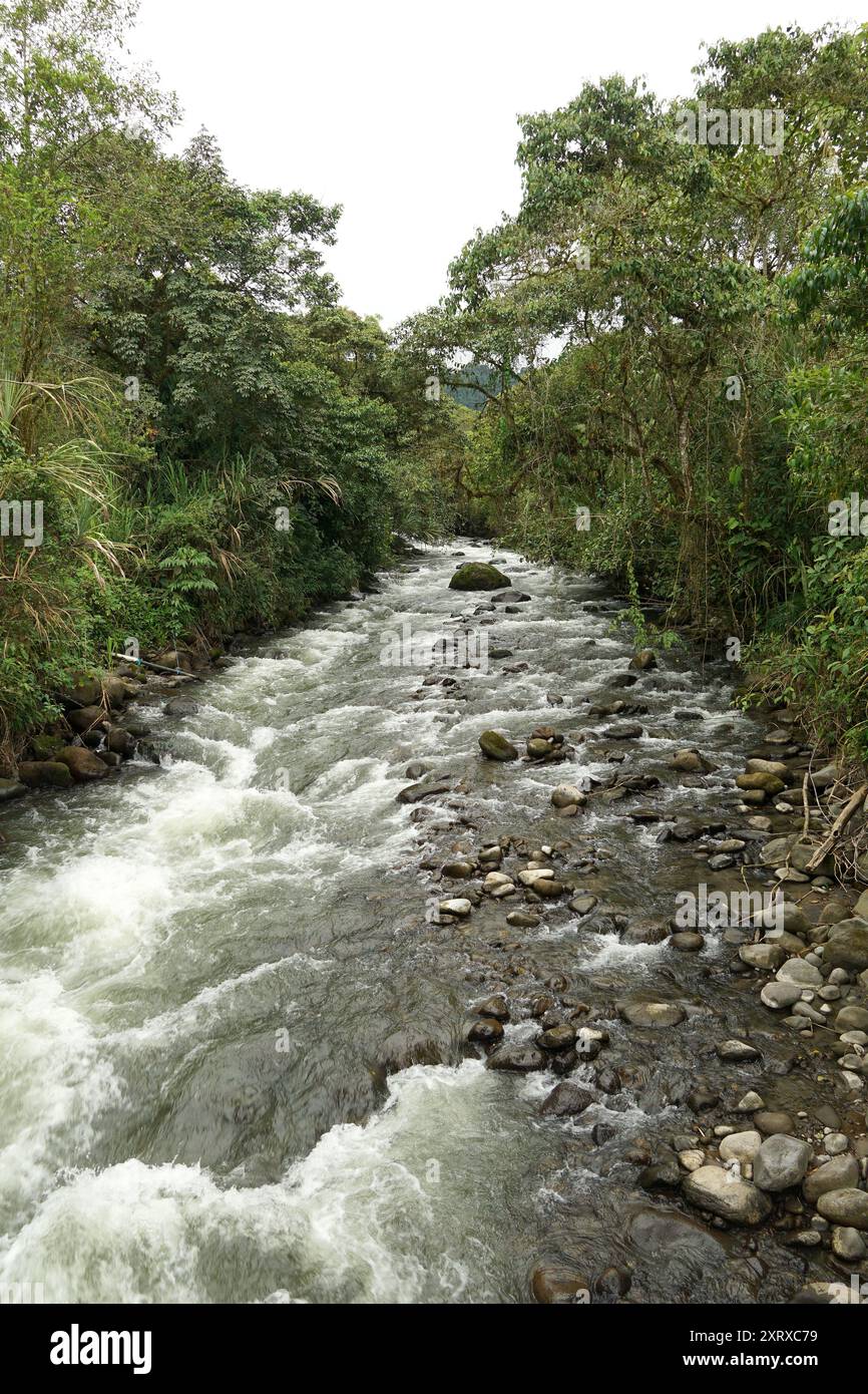 Rio Mindo, Mindo Valley, Ecuador, South America Stock Photo - Alamy