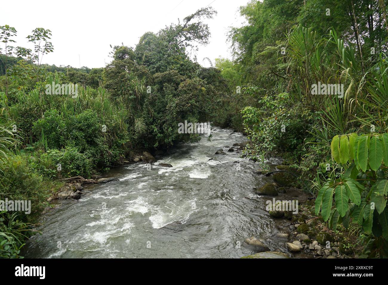 Rio Mindo, Mindo Valley, Ecuador, South America Stock Photo - Alamy