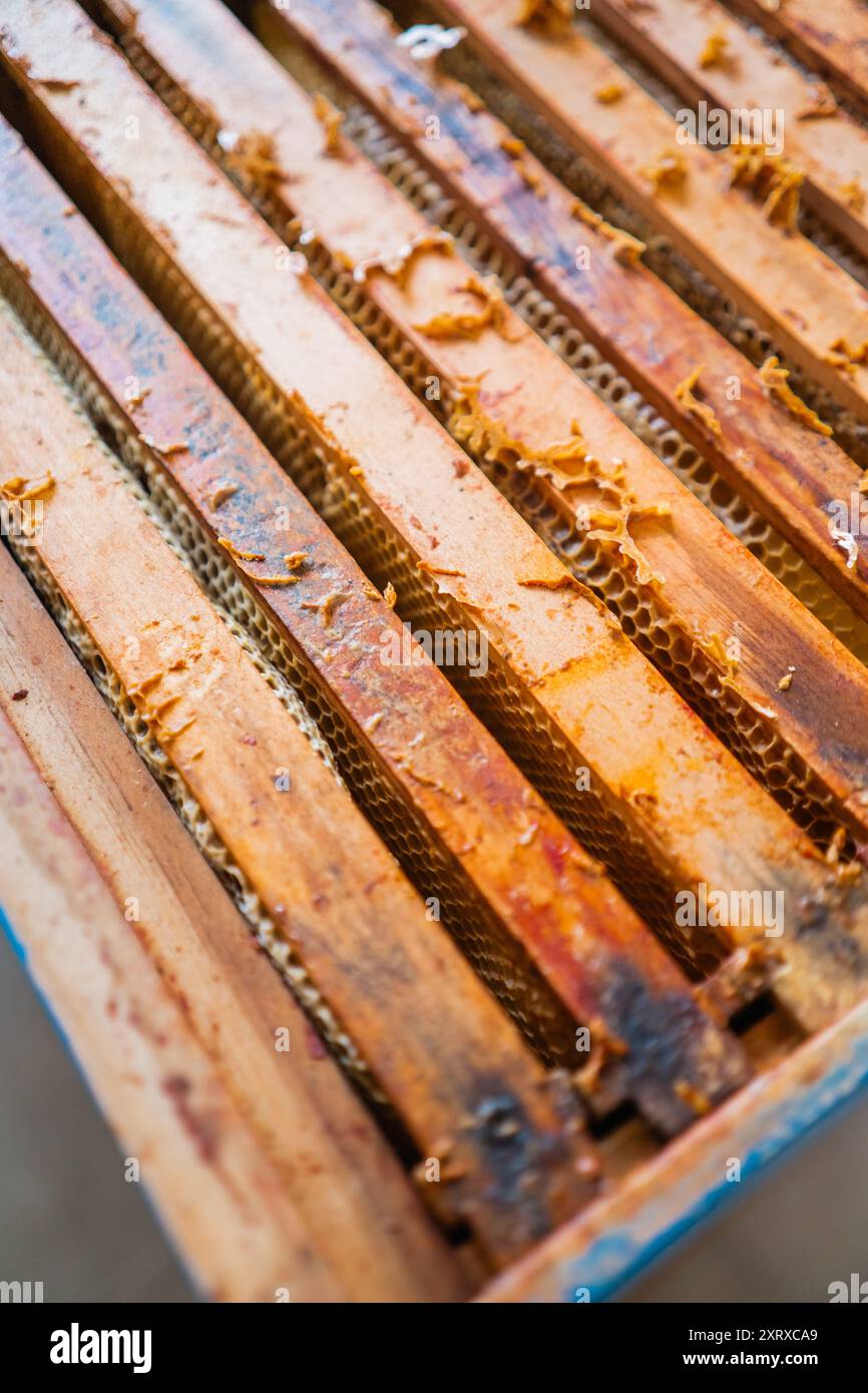 Top view honeycomb frames hi-res stock photography and images - Alamy