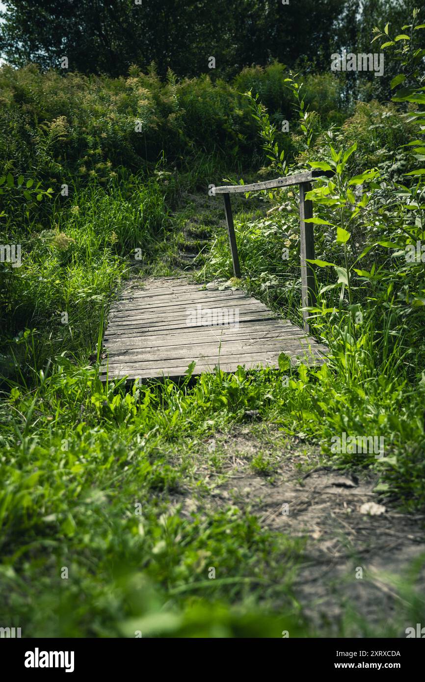 Wooden, old bridge over a narrow river in the village. Thick grass ...
