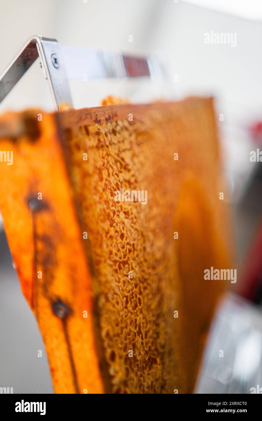 Hive Frame of a Beehive with Filled and Capped Honeycombs Extreme Close ...