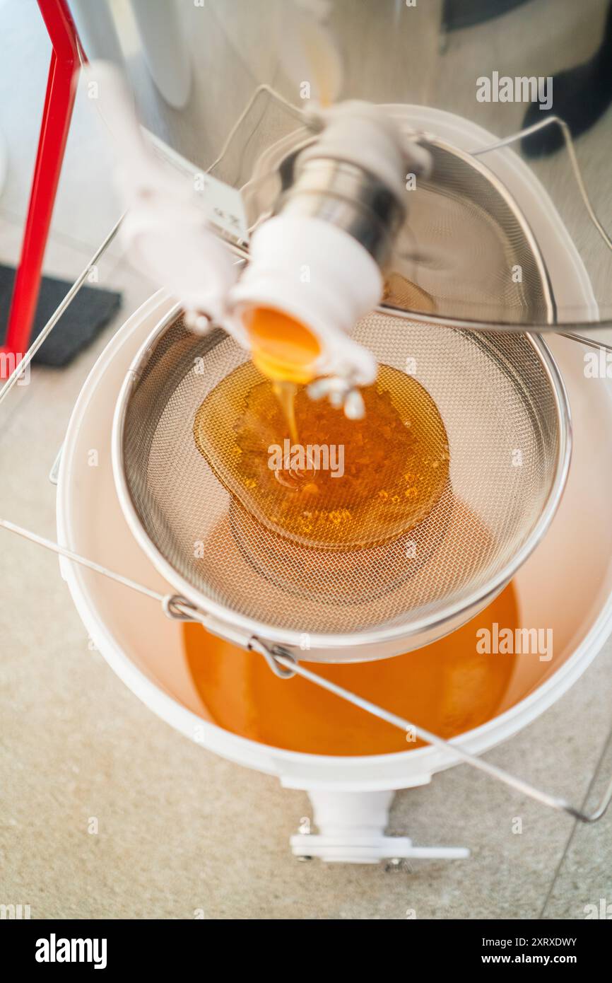 Honey Flowing Out of the Extractor Barrel Getting Filtered by a Sieve ...