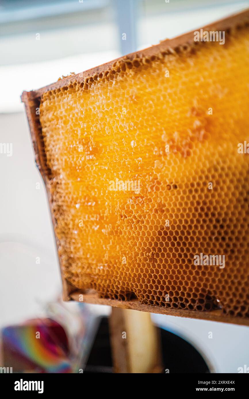 Empty honeycombs beehive close hi-res stock photography and images - Alamy
