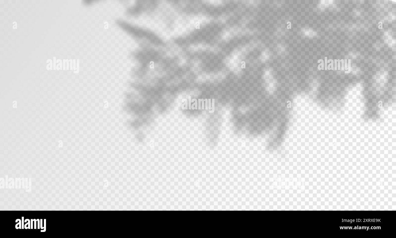 Sun's rays tree Stock Vector Images - Alamy