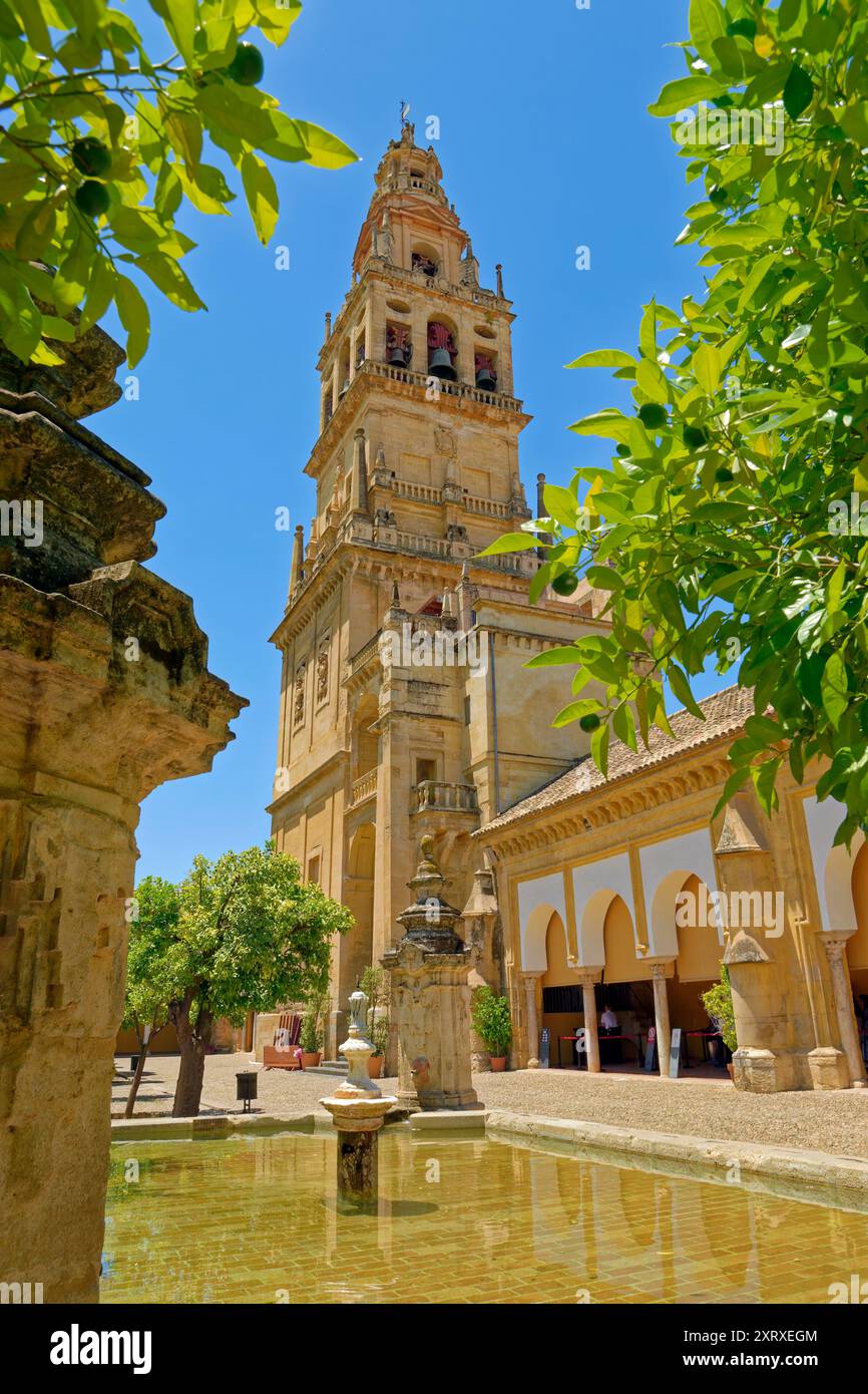Historic Bell tower of La Mezquita-Catedral de Córdoba in Cordoba ...