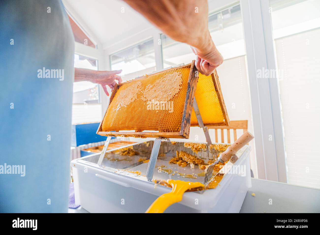 Beekeeper Placing the Wooden Frame of a Beehive Filled with Honey Onto ...