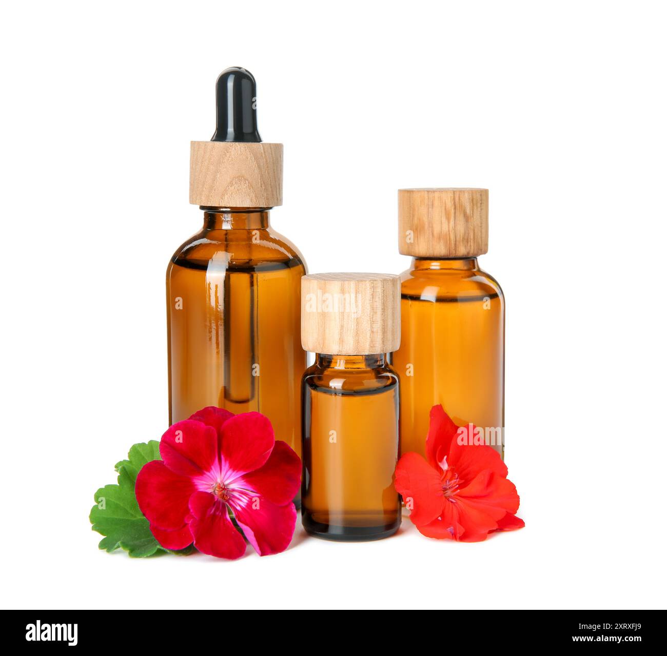 Bottles of geranium essential oil and beautiful flowers isolated on ...