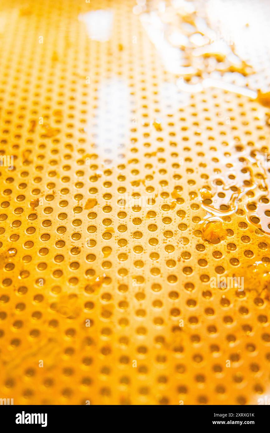 Viscouse Layer of Golden Honey Flowing in a Uncapping Tray During Bee ...
