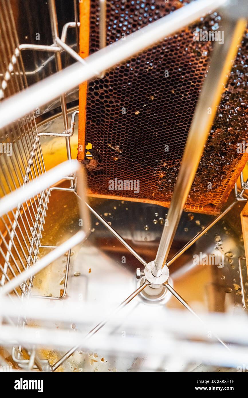 Beehive Frame with Honeycombs and Golden Bee Honey Inside a Centrifucal ...