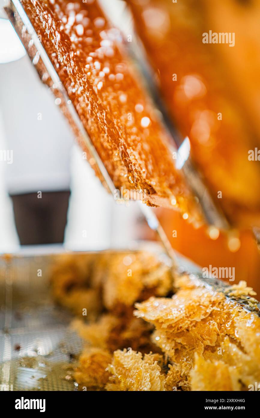 Delicious Golden Bee Honey Dripping Down a Wooden Beehive Frame with ...