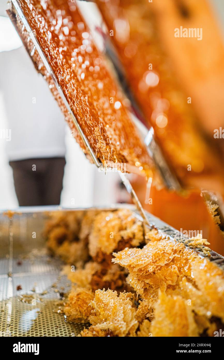 Delicious Golden Bee Honey Dripping Down a Wooden Beehive Frame Into a ...