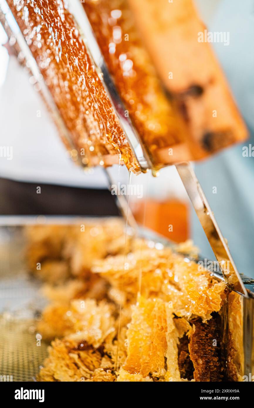 Uncovering a tray of food hi-res stock photography and images - Alamy