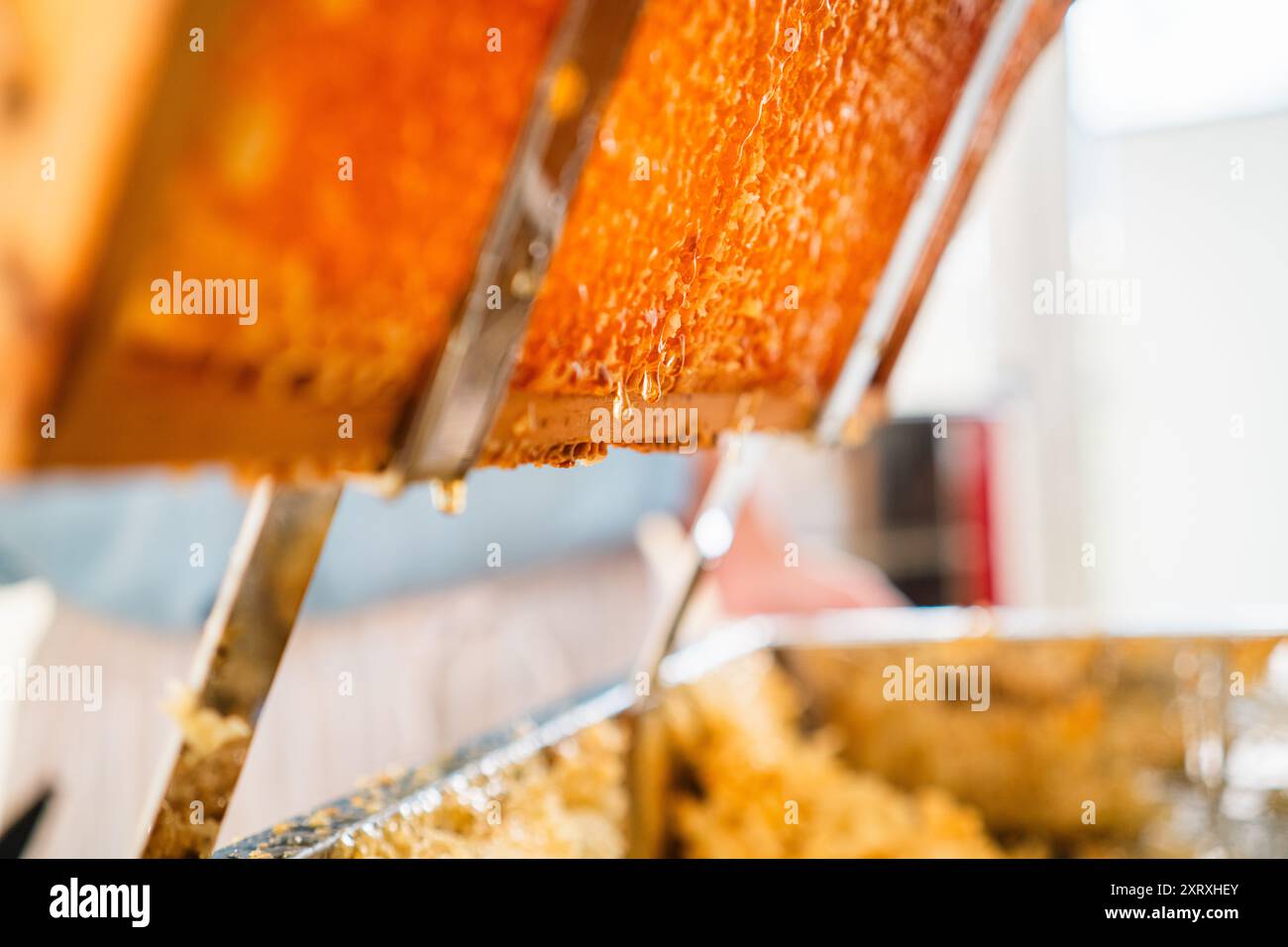 Delicious and Tasty Bee Honey Dripping and Running Down the Honeycombs ...