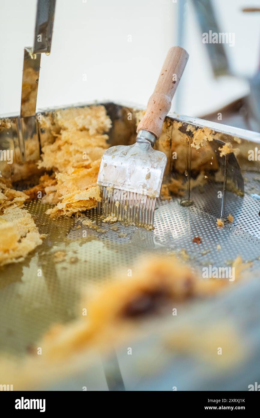 Capping Scratcher in a Metal Tray with Beewax and Honey During Bee ...