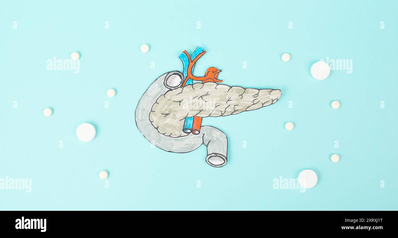 Pancreas organ with pills, digestive and endocrine system of ...