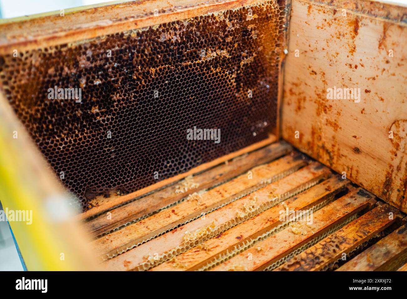 Dark Honeycomb Cells in a almost empty Wooden Beehive of a Beekeeper ...