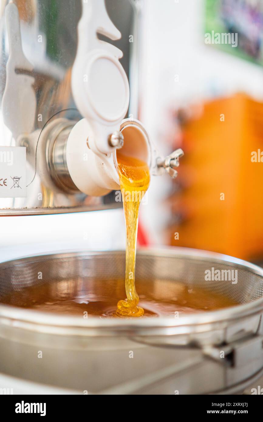 Viscouse Bee Honey Flowing Out Into the Filtration Sieve Stock Photo ...