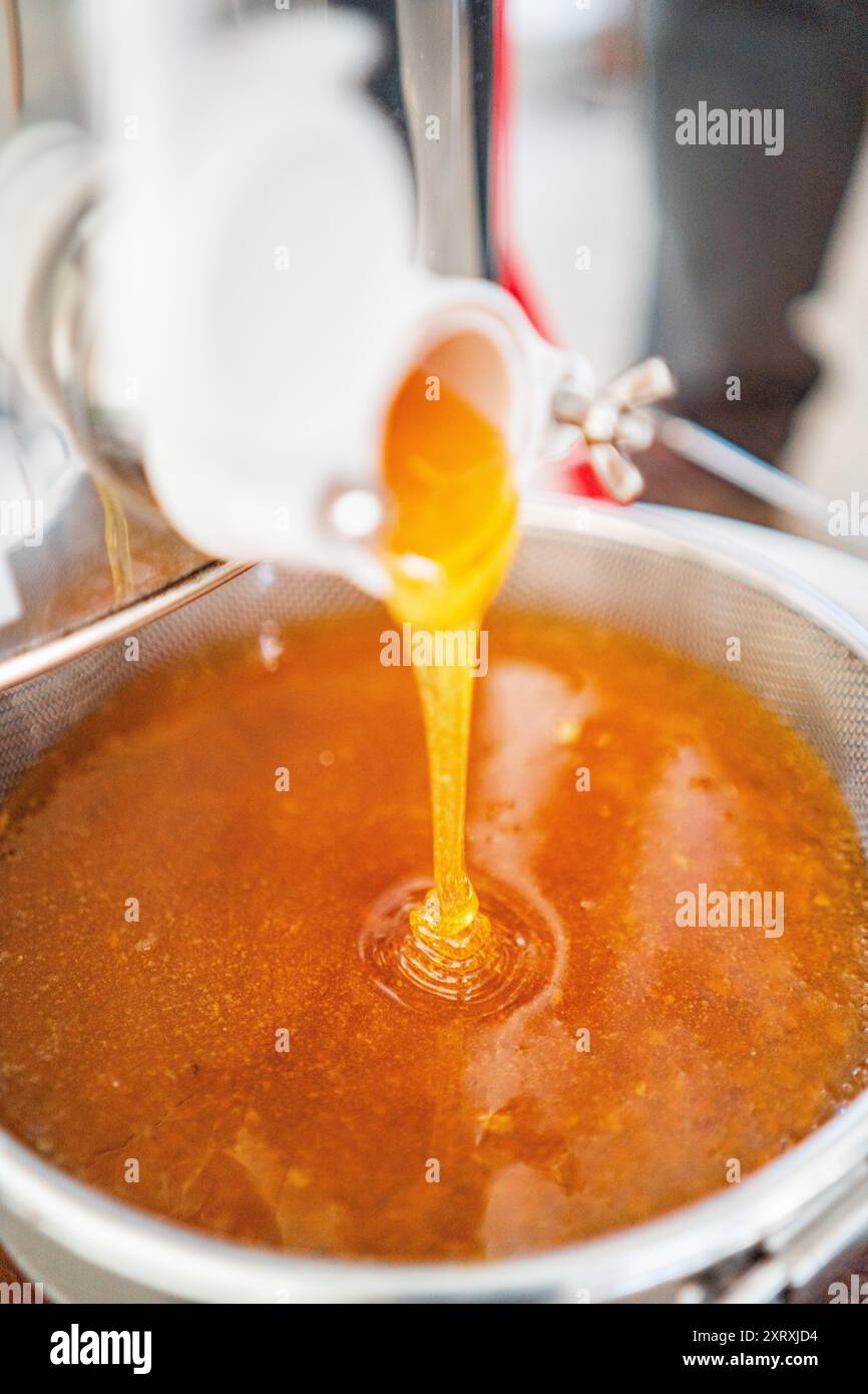 Honeycomb with flowing honey hi-res stock photography and images - Alamy