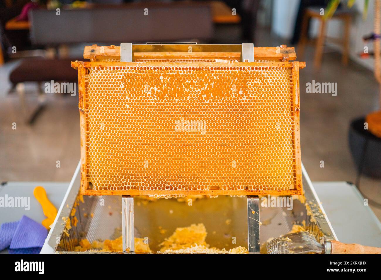 Golden Beehive Frame Placed on a Decapping Tray Stock Photo - Alamy