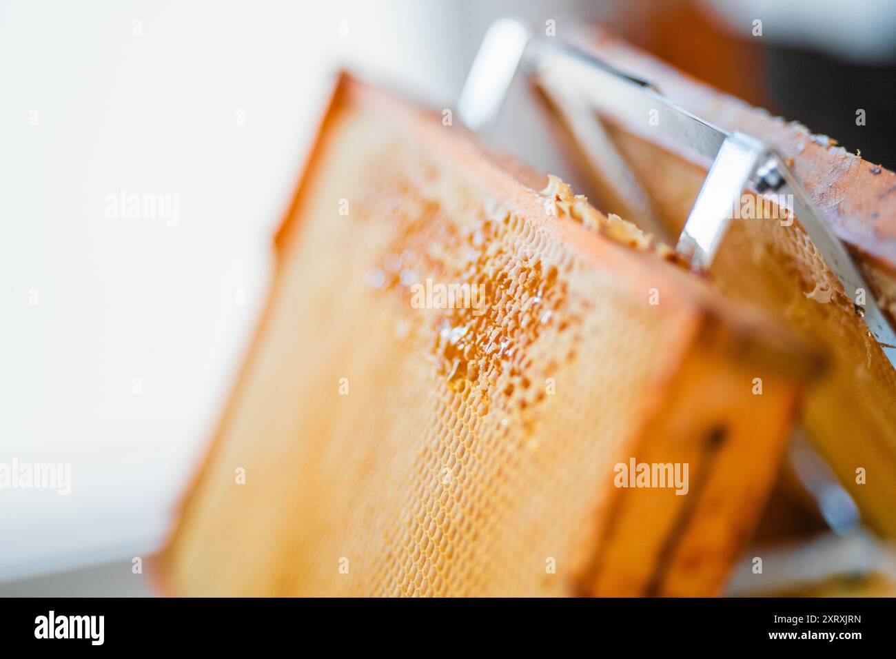 Honeybee hive with honey filled cells hi-res stock photography and ...