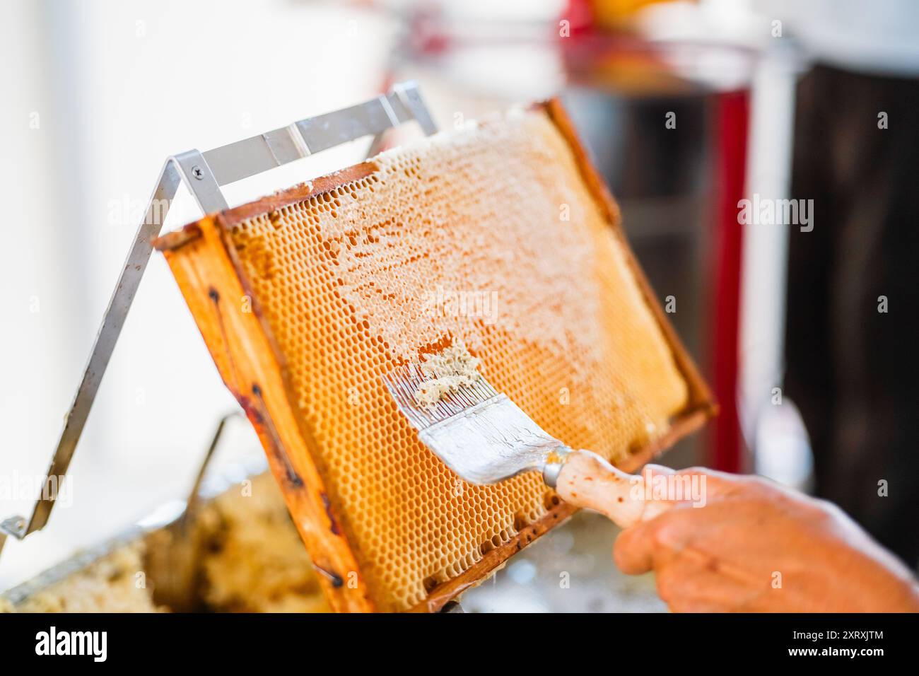 Harvesting pollen from a beehive hi-res stock photography and images ...