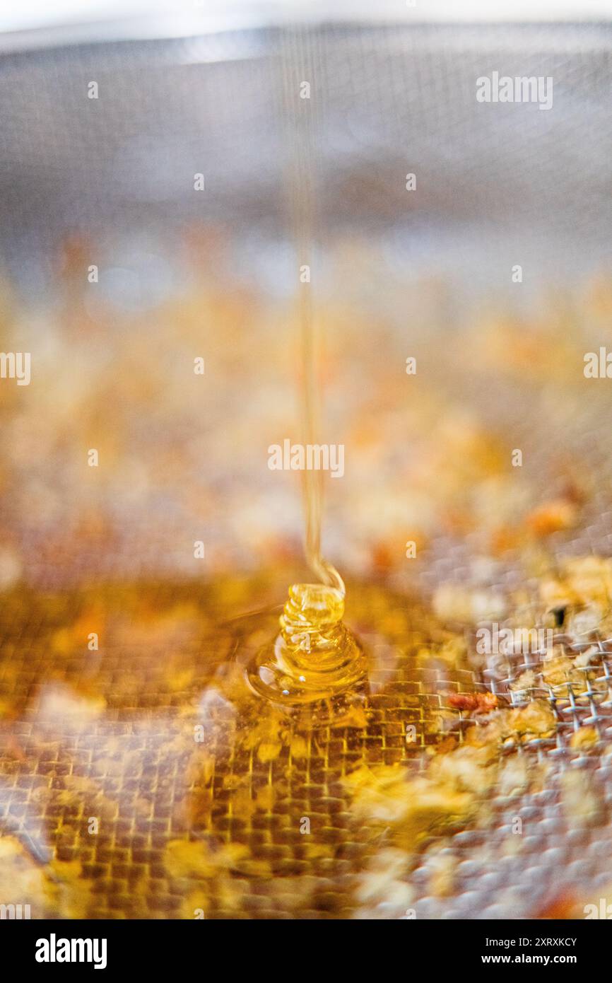 Overflowing honey hi-res stock photography and images - Alamy