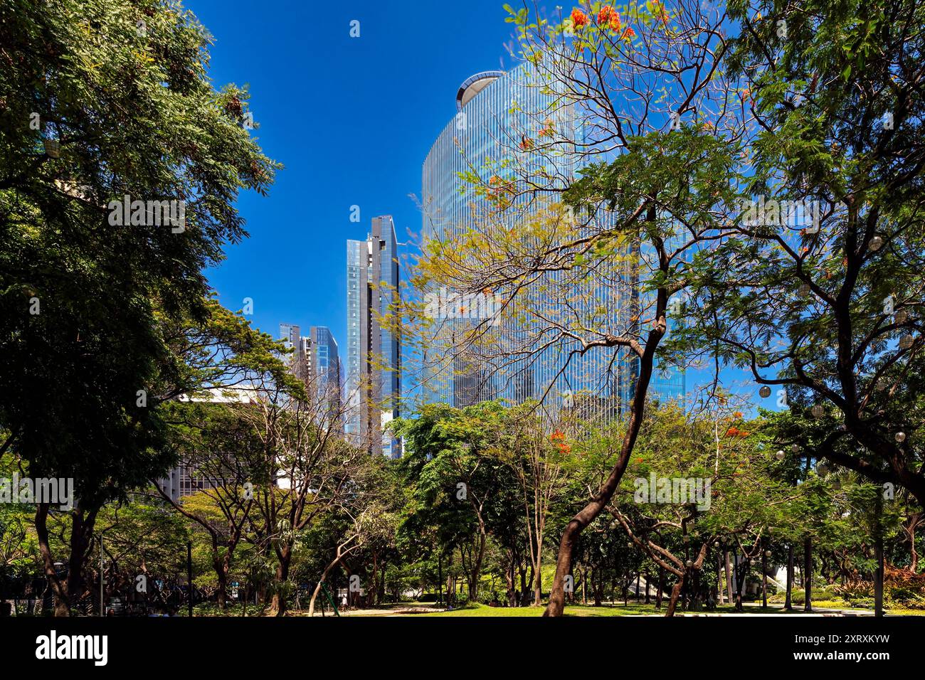 Makati city landscape, buildings, Ayala Triangle architecture and ...