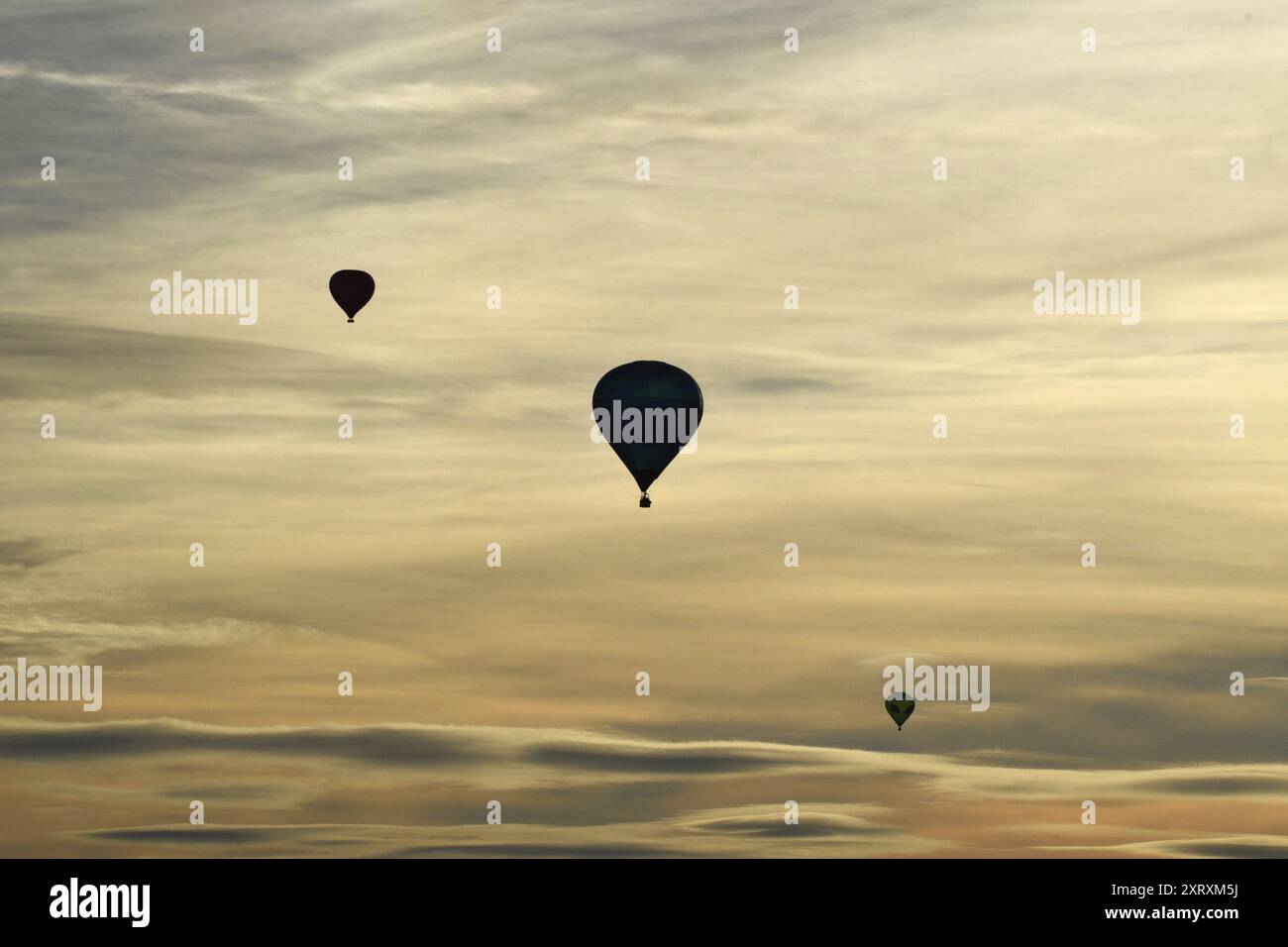 Hot air balloons, Bristol balloon fiesta 2024, Fly Navy Balloon ...