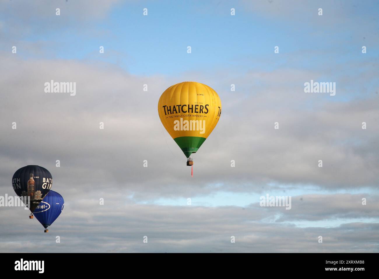 Hot air balloons, Bristol balloon fiesta 2024, Fly Navy Balloon ...