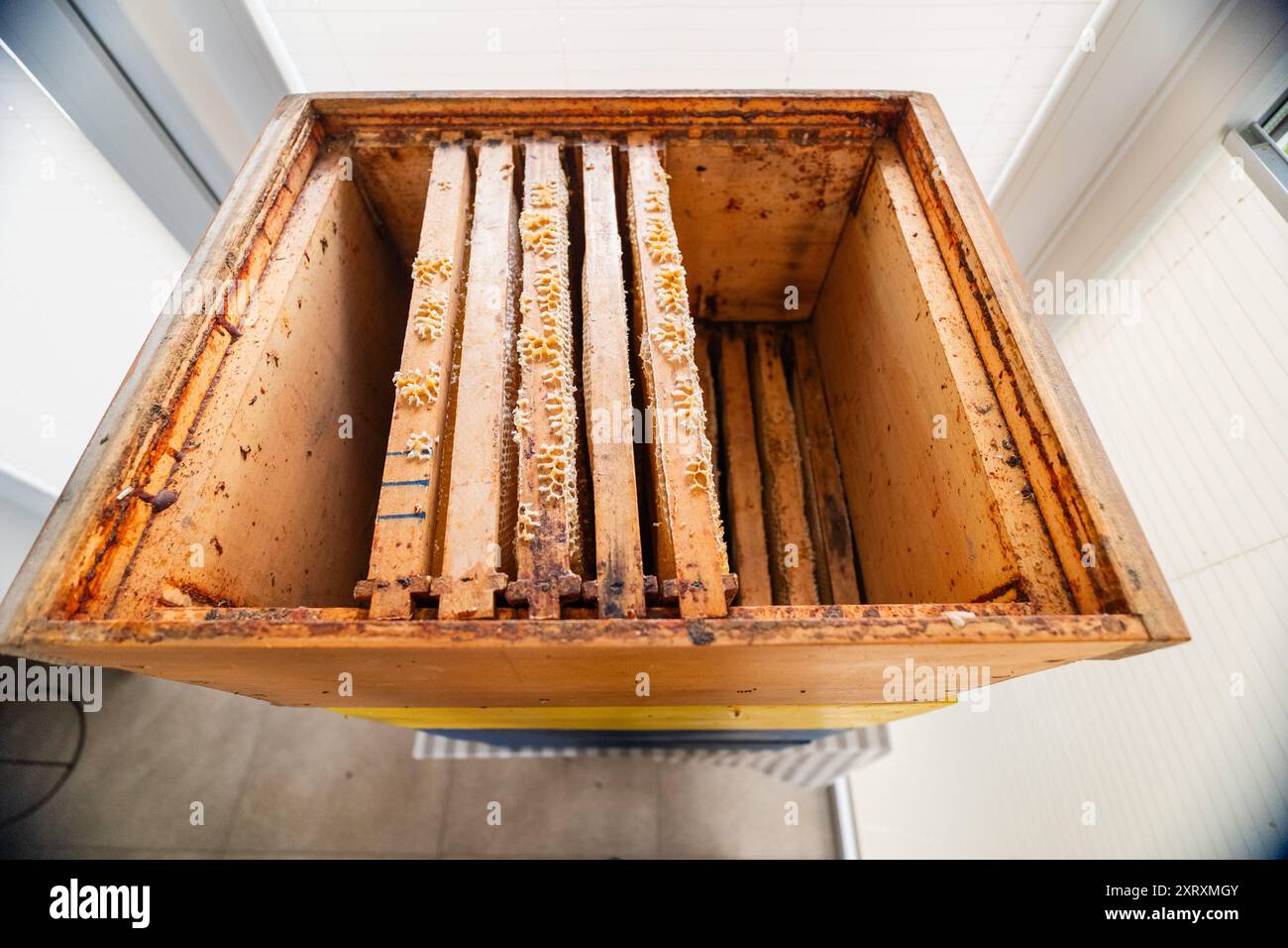 Wooden Frames Hanging in a Beekeeping Beehive Stock Photo - Alamy